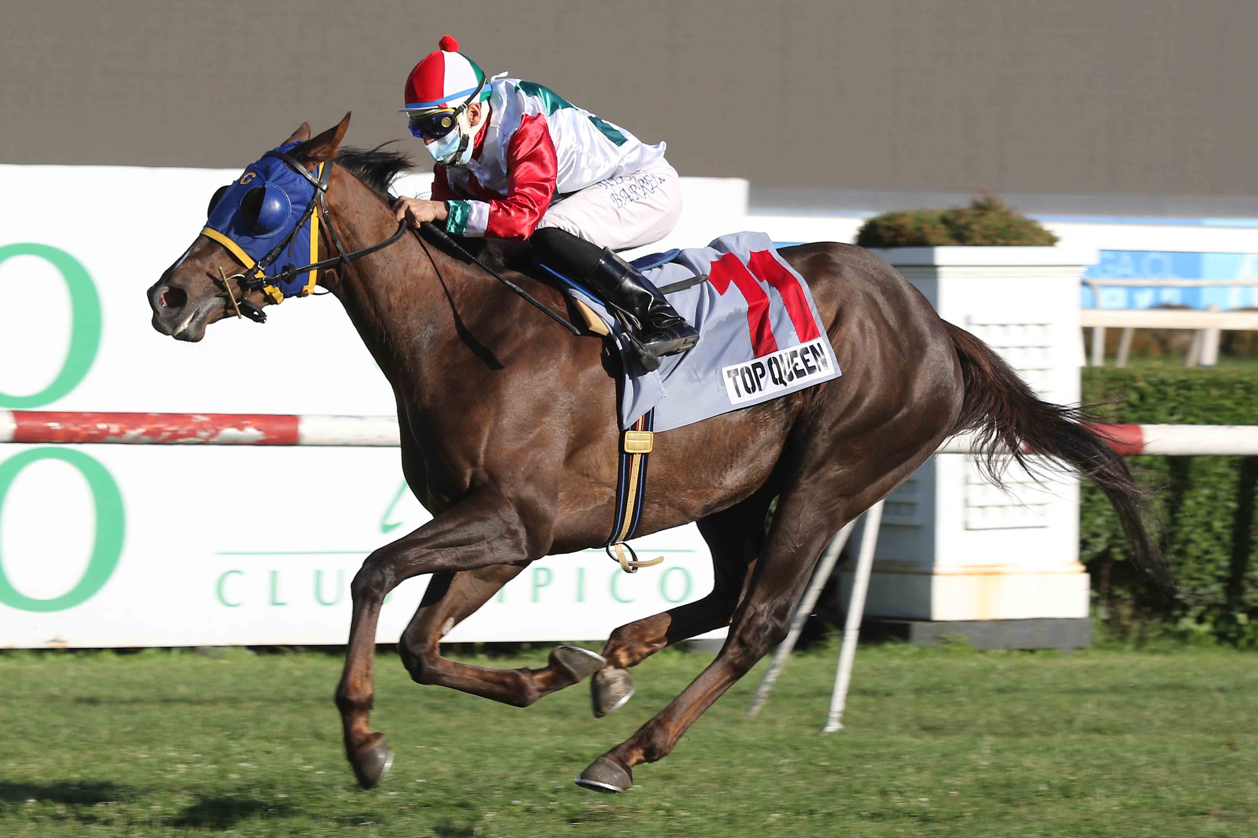 Noticias - Alaskan Queen y Top Queen, las "reinas" que se juegan la ...